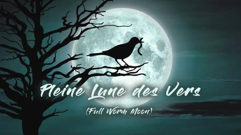 Découvrez L'impact De La Pleine Lune Des Vers En Astrologie